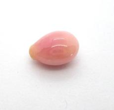 Conch Pearls for Sale