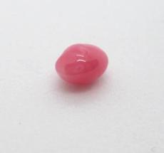 Conch Pearls for Sale