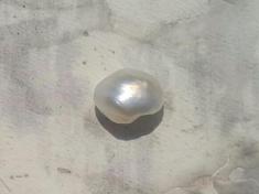 Saltwater Natural Pearls for Sale